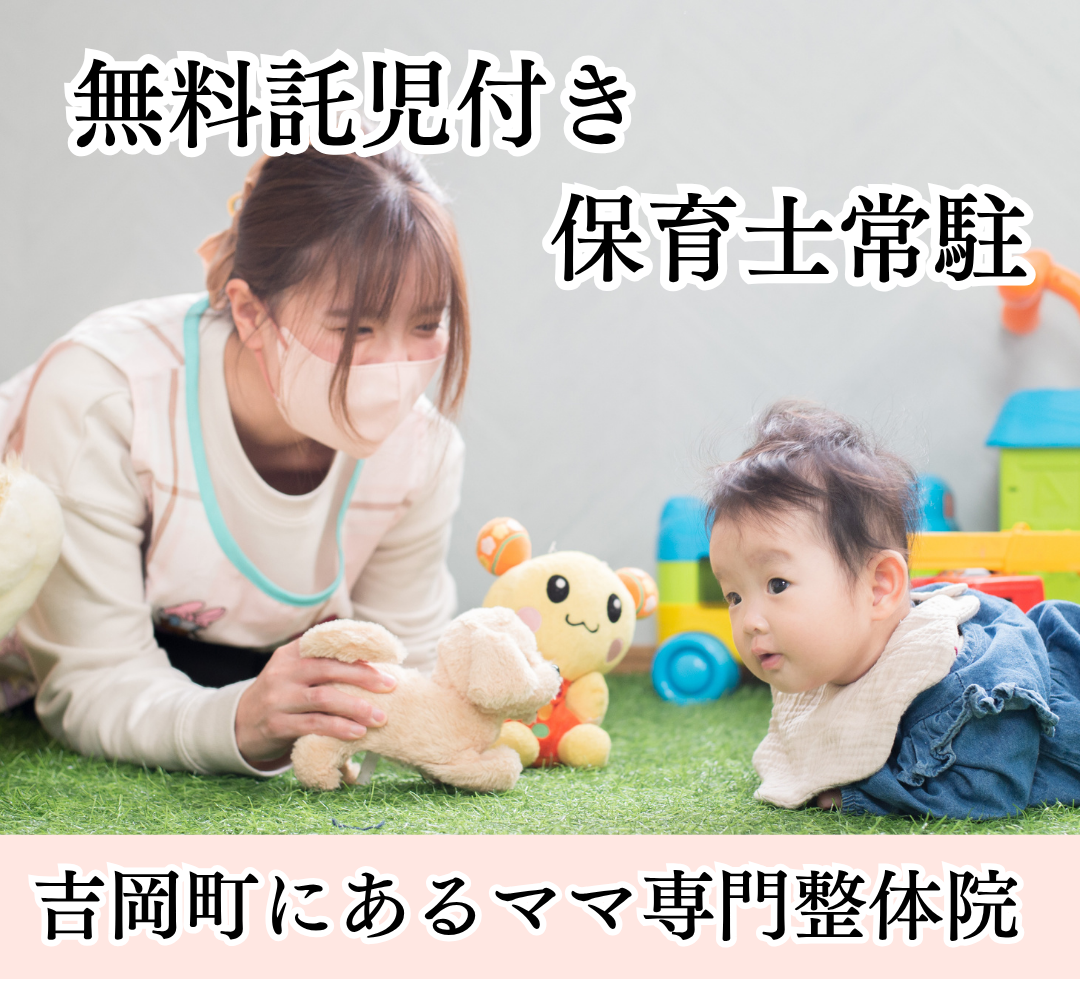 LP_202503 - 産前産後ケア専門マイスター協会｜妊娠前より健康で美しい体に